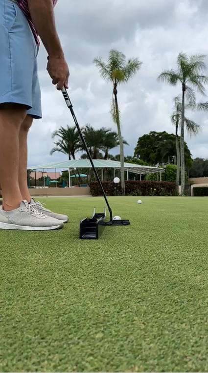 The Putting Arc MS-3D - Golf Training Aids